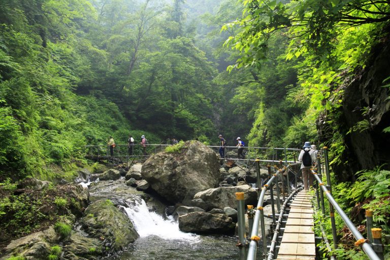 Ski Resort in Northern Japan | Aomori Spring Resort