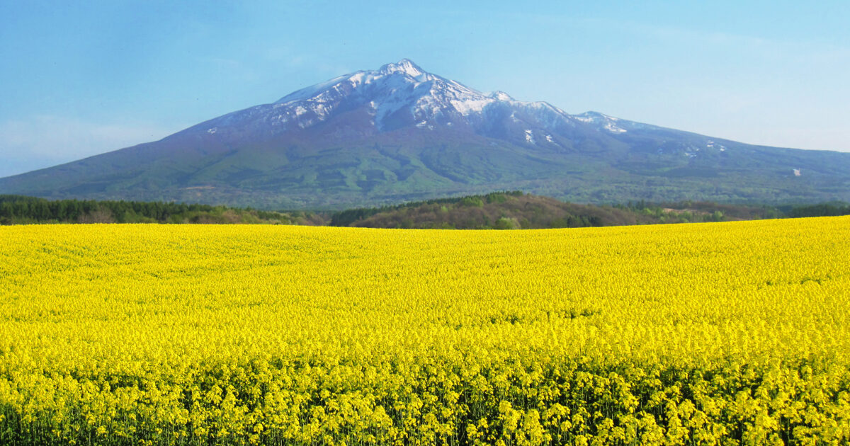 Sightseeing | Aomori Spring Resort