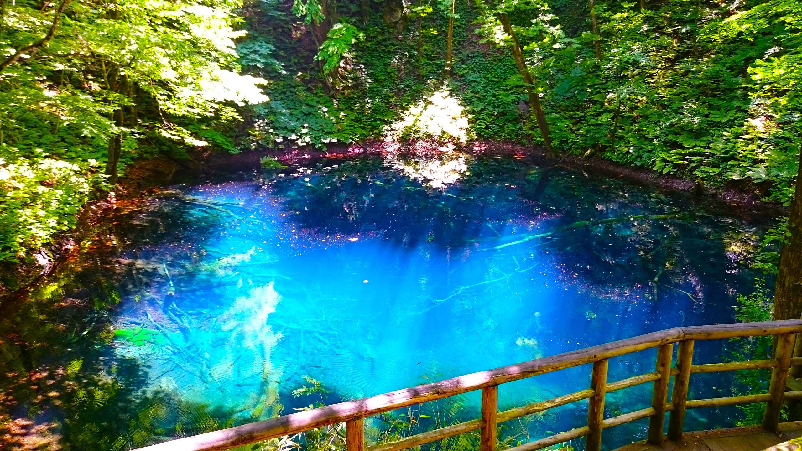 Juniko Trekking | Aomori Spring Resort