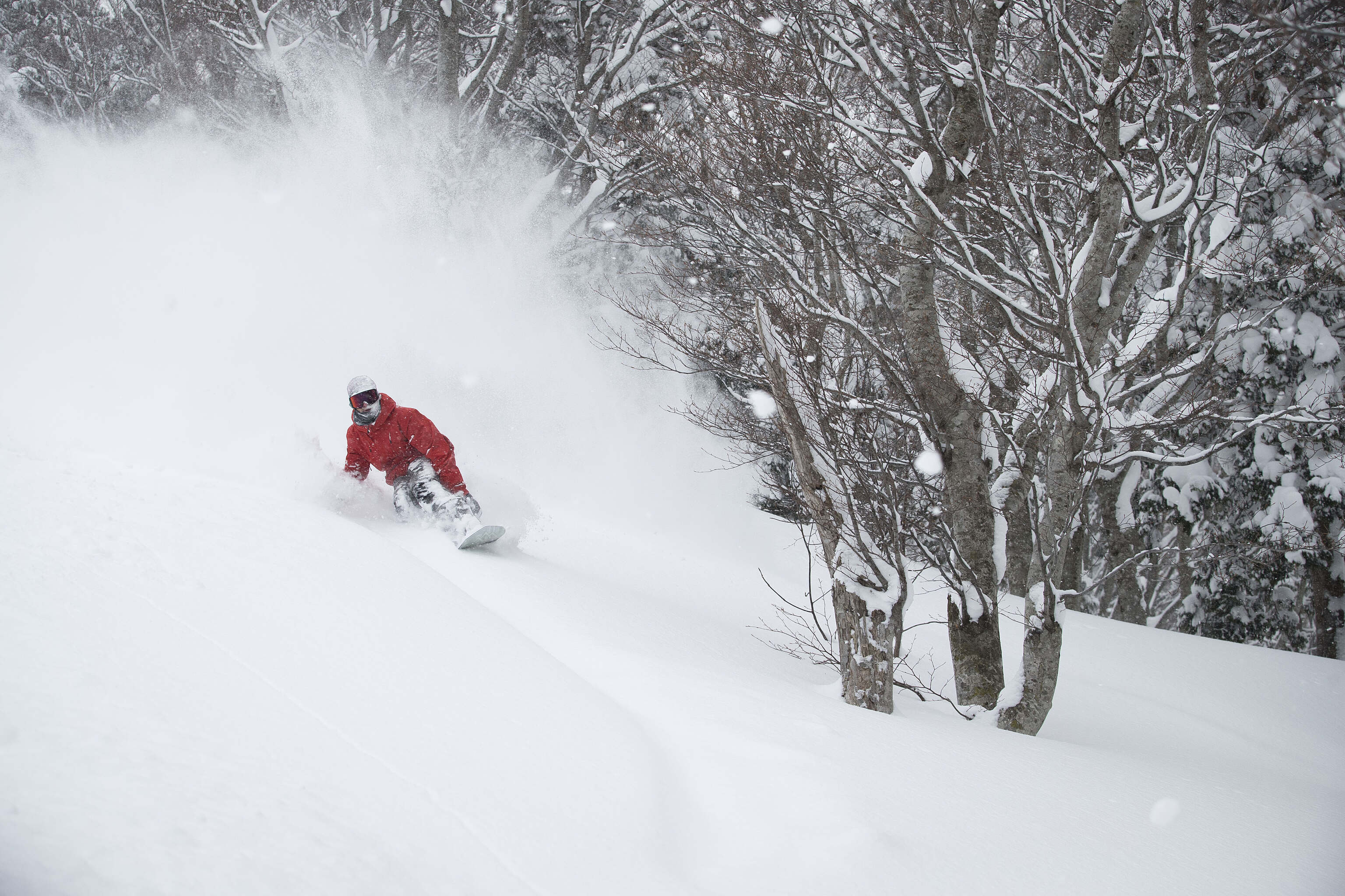 Guided Tours | Aomori Spring Resort